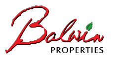 Balwin App